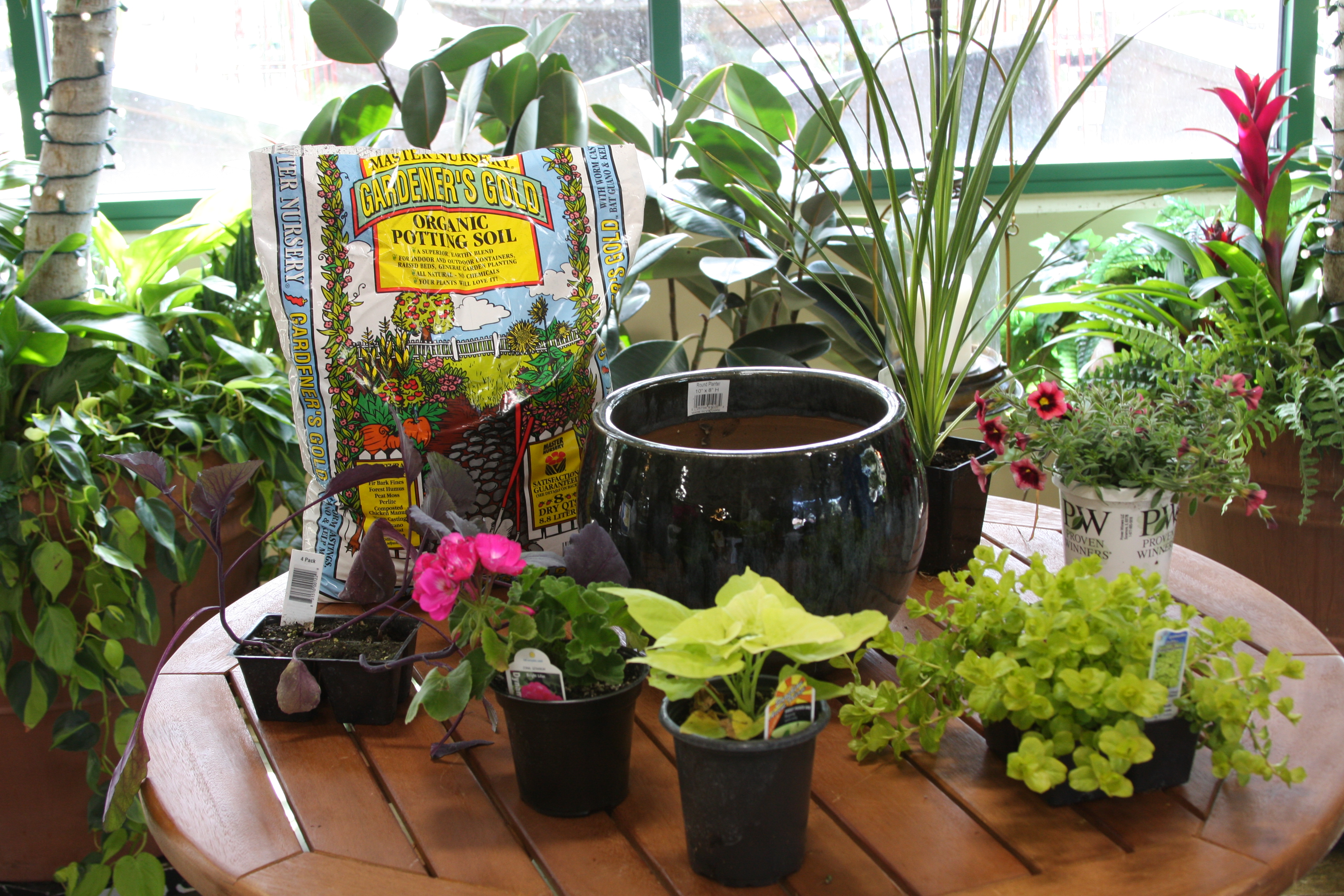 How to Plant a Flower Pot - Western Garden Centers