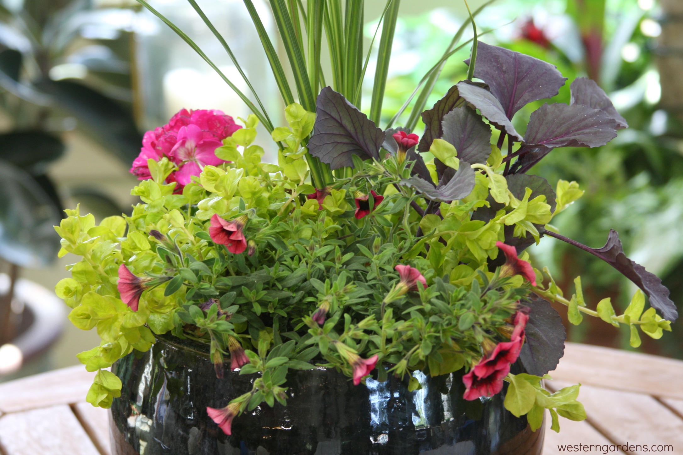How to Plant a Flower Pot - Western Garden Centers