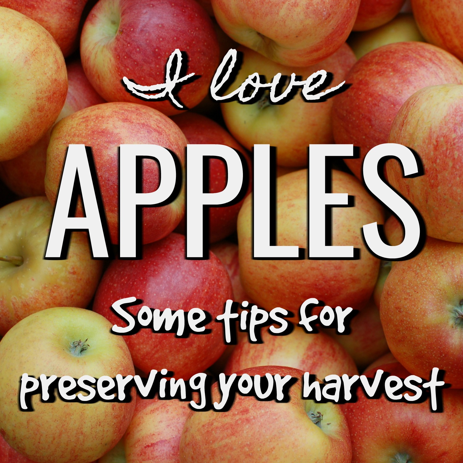Favorite Apple Varieties and How To Preserve Them - Western Garden Centers