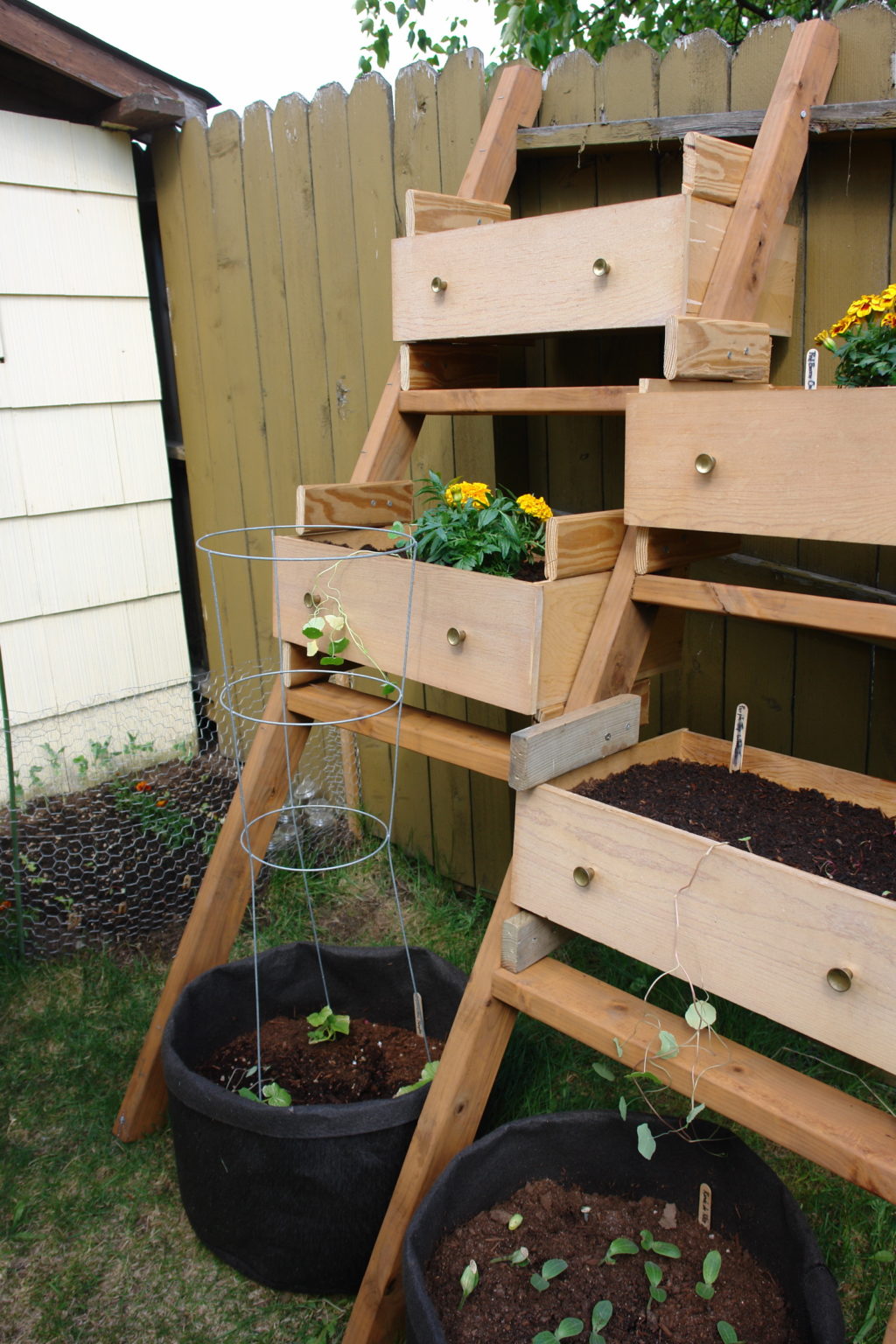 A Guide to Vertical Gardening - Western Garden Centers